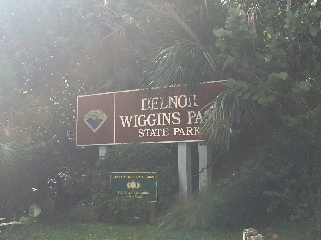 The Beauty of Delnor Wiggins State Park – Precious Mommy
